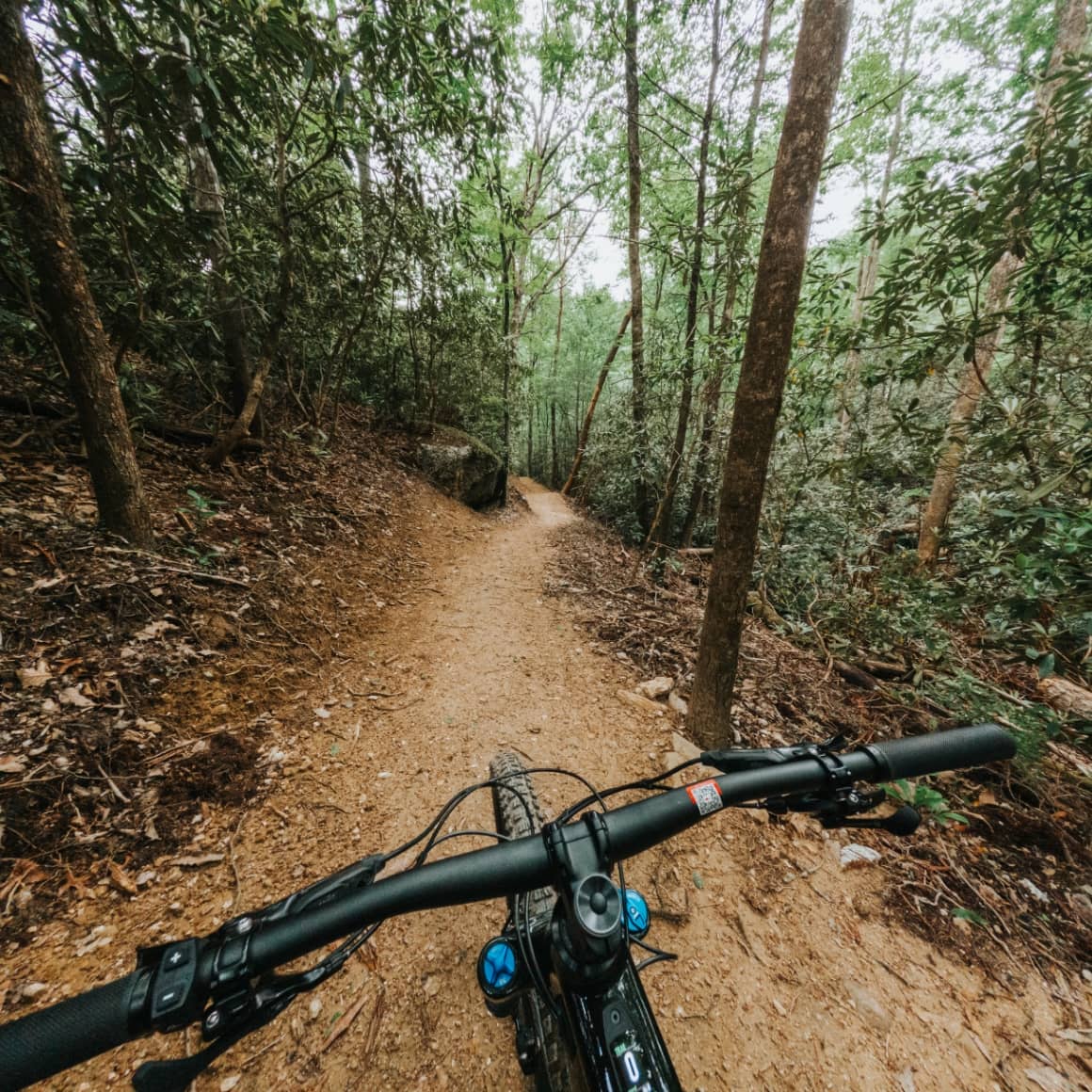 What Does XC Mean in Mountain Biking? | WildSide