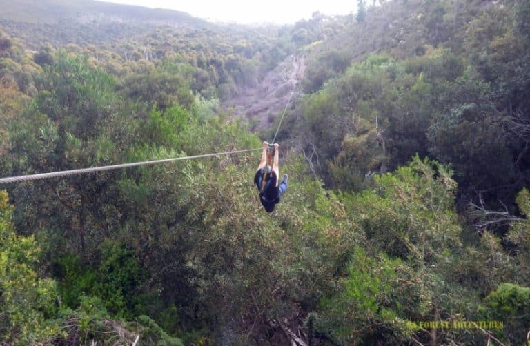 The World’s 10 Longest Ziplines | Wildside